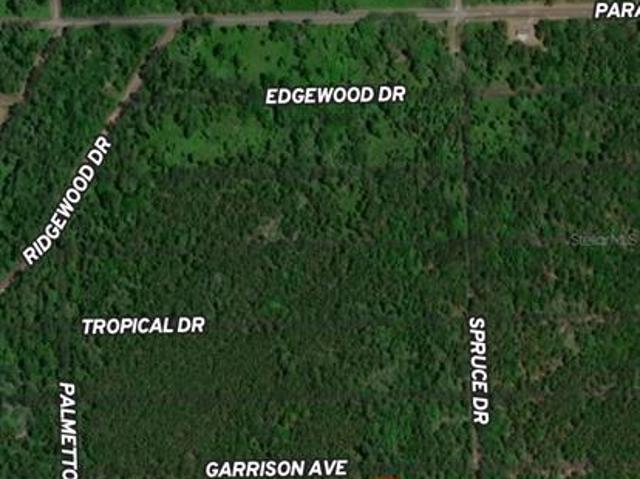131 Garrison Ave, Georgetown, FL 32139 | MLS #OM710334