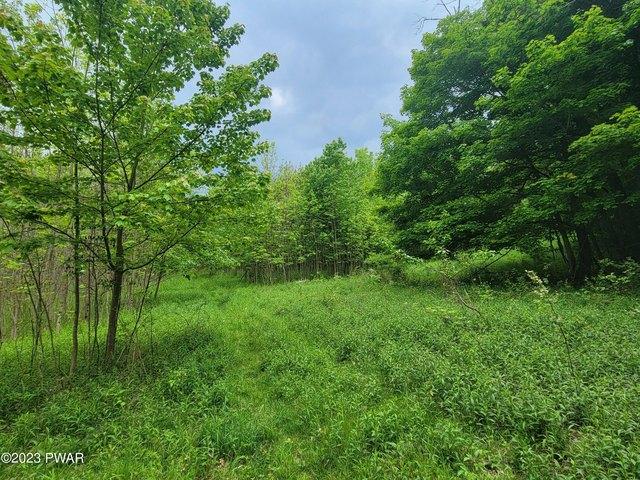 131 Hidden Valley Dr, Lake Ariel, PA 18436