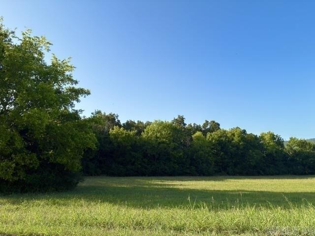 131 Osage Ave, Mountain View, AR 72560