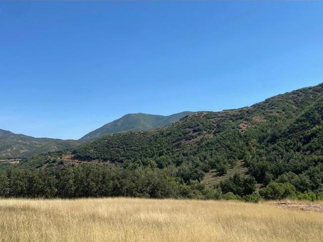 131 S Meadow Dr E Unit 20, Springville, UT 84663