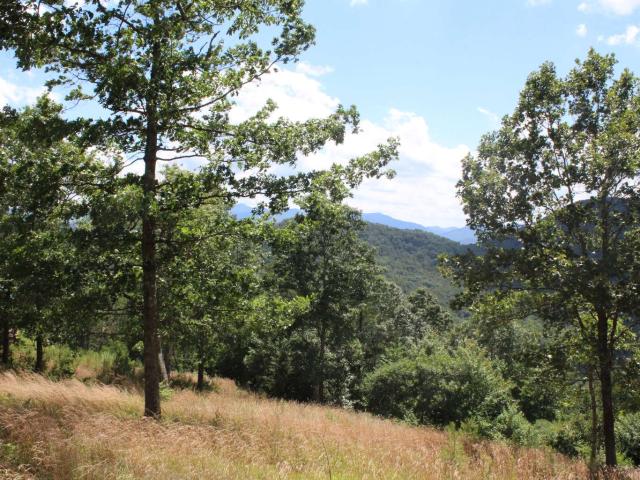 131 Shiloh Rdg, Hayesville, NC 28904 | MLS #413351