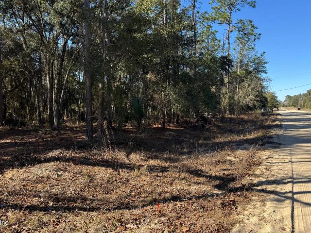 131 Spring Lake Rd, Interlachen, FL 32148 | MLS #2127