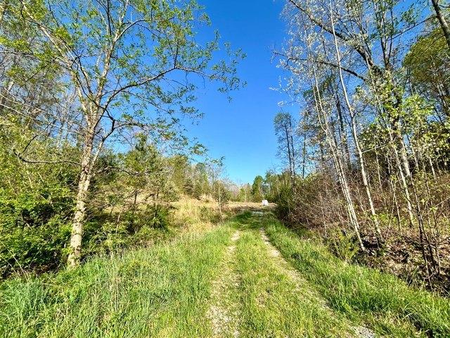 131 Riverview Ln, Stanaford, WV 25927