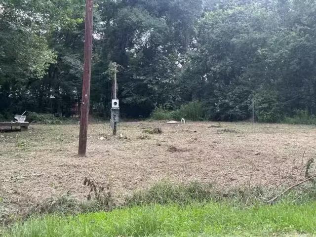 131 Vivian Ln, Shepherd, TX 77371 MLS 28170007