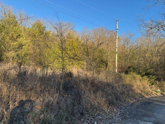 13243 Nicewarner Rd Lot 0, Lincoln, AR 72744