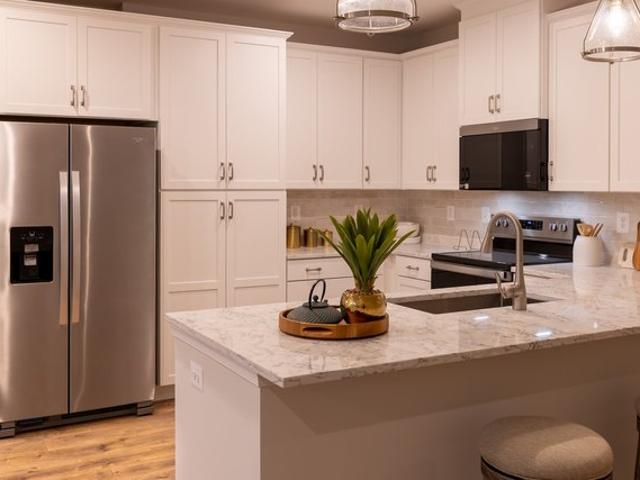 13240 Petrel St # 5106, Clarksburg, MD 20871
