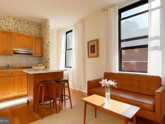 1324 Locust Street # 704