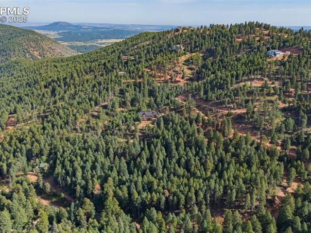 13255 Spruce Creek Cir, Larkspur, CO 80118 | MLS #2016 | Compass