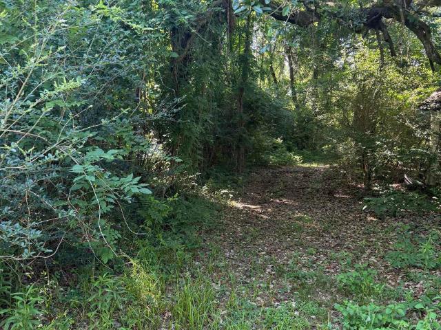 13259 Woodhaven Dairy Road