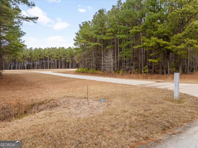 1325 Magnolia Court