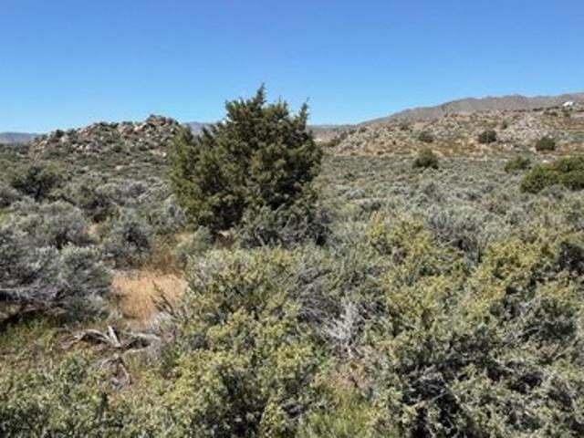 1325 Antelope Valley Rd, Reno, NV 89506