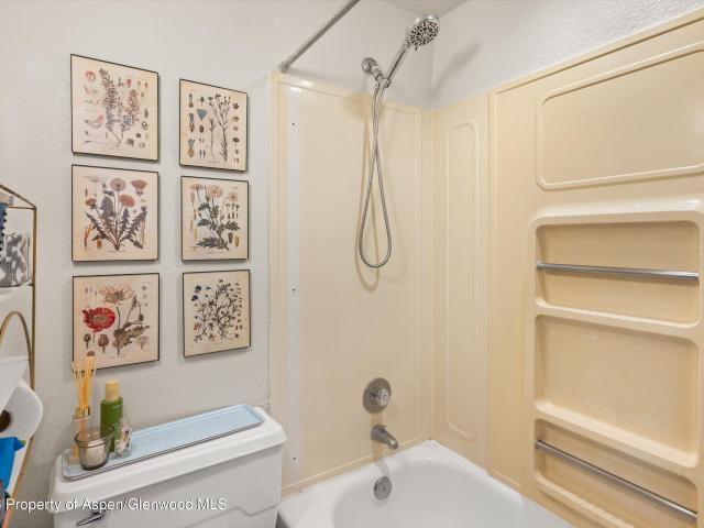 1325 Vine St, Aspen, CO 81611 | MLS #191870