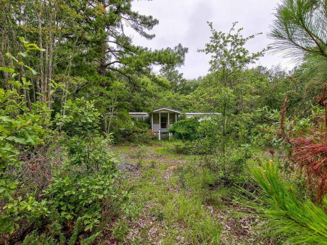 1326 Colie Branham Road