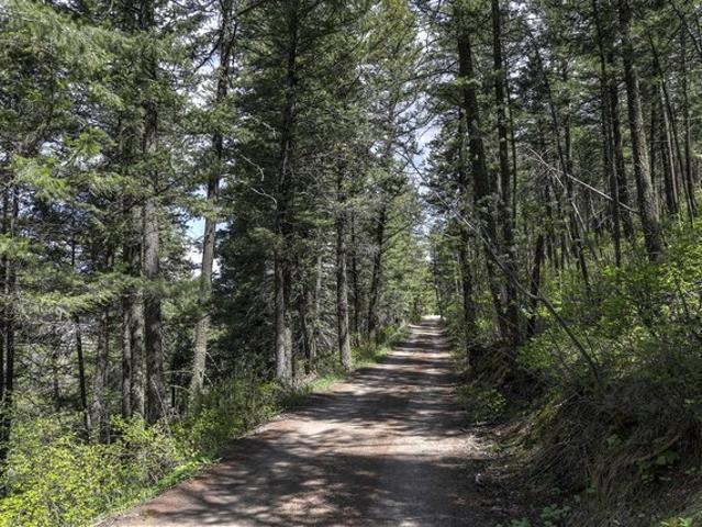 13275 Balsamroot Rd, Lolo, MT 59847