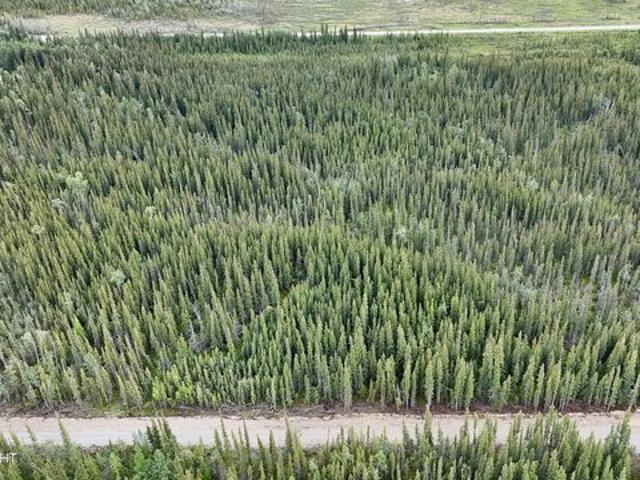 1327.6 B3 Alaska Hwy, Tok, AK 99780