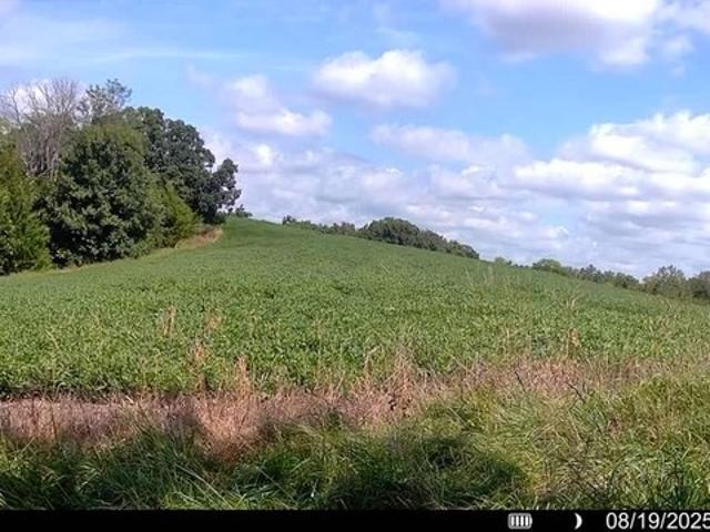 13282 Bell Ave, Mercer, MO 64661