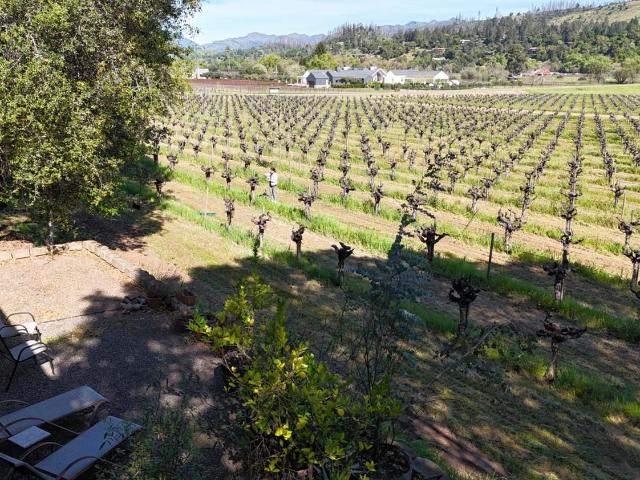 1328 Monte Vista Avenue, St. Helena, us, ca