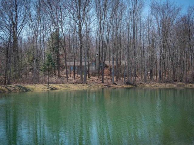 1329 N Nine Mile, Sanford, MI 48657