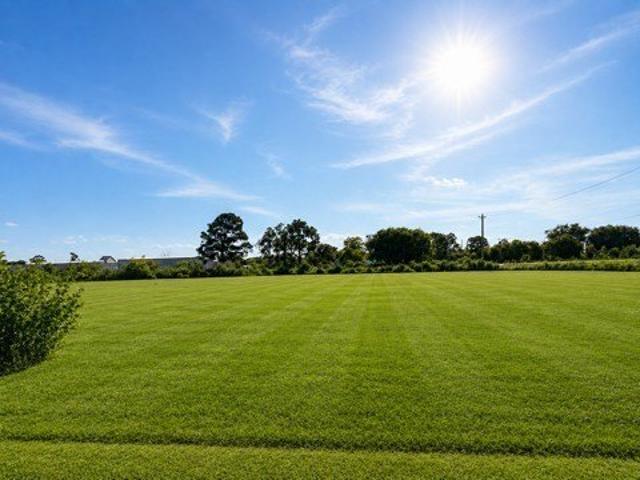 13203 Walker St, Santa Fe, TX 77510