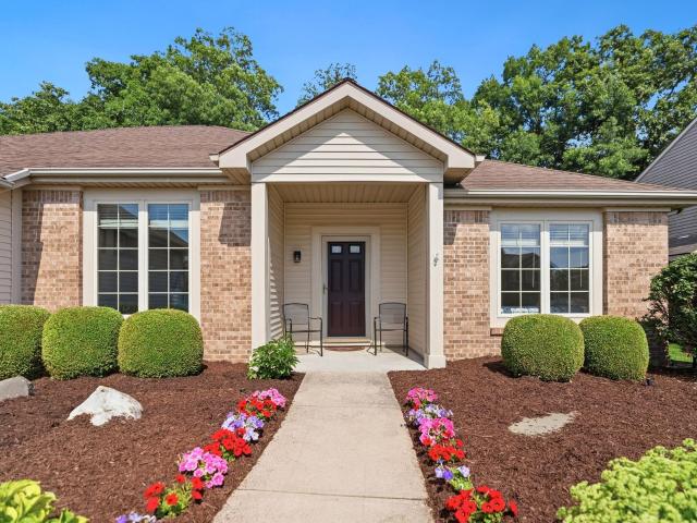 13202 Winding Vine Run