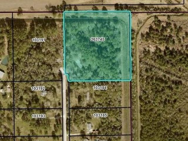 13205 S Fork Dr, Hamshire, TX 77622