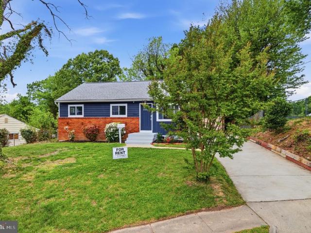 13206 Staggs Court