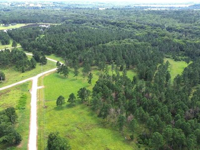 1320 Buckhorn Creek Dr, Crockett, TX 75835