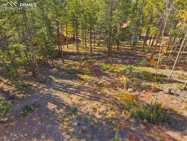 1320 Forest Edge Road