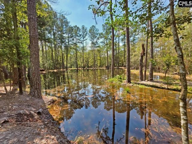 1320 Reynolds Pond Rd