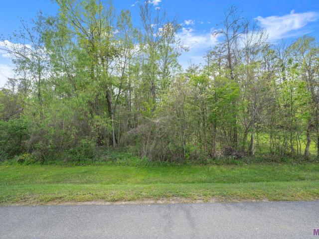 13216 Bayou Terrace Dr, St. Amant, LA 70774 | MLS #BR2026004