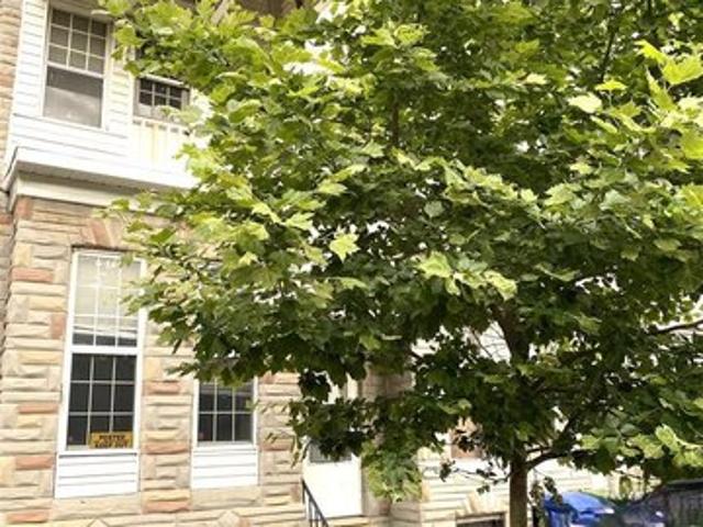 1321 James St, Baltimore, MD 21223