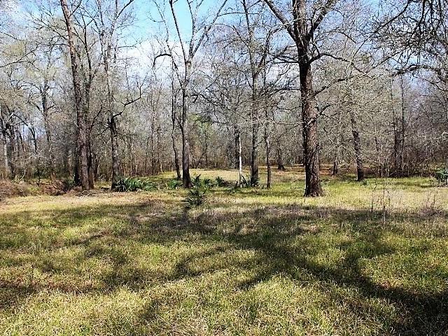 13223 County Road 136 East