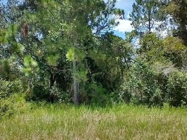 1322 Tallahassee Ct, Kissimmee, FL 34759