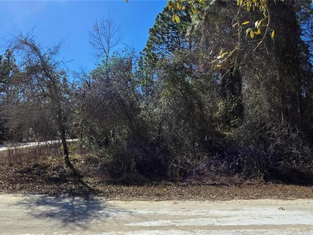 13231 Rd Runner Ave, Weeki Wachee, FL 34614 | MLS #W7882