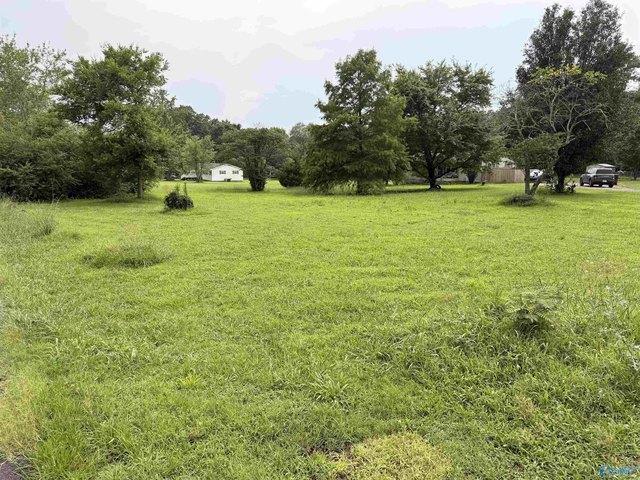 13231 Sugar Plum Ln, Madison, AL 35756