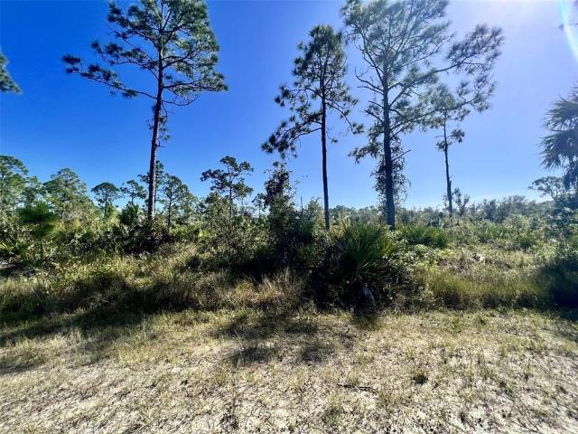 13238 Cannes Dr, Punta Gorda, FL 33955 | MLS #C7496