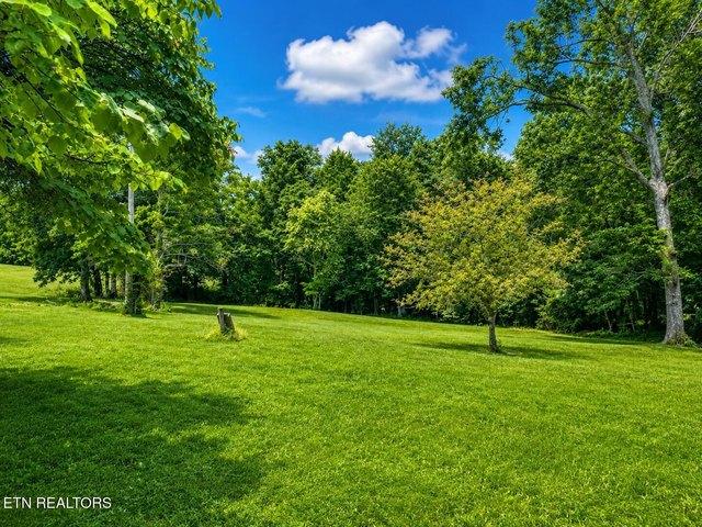 1323 Bee Rock Rd, Monterey, TN 38574