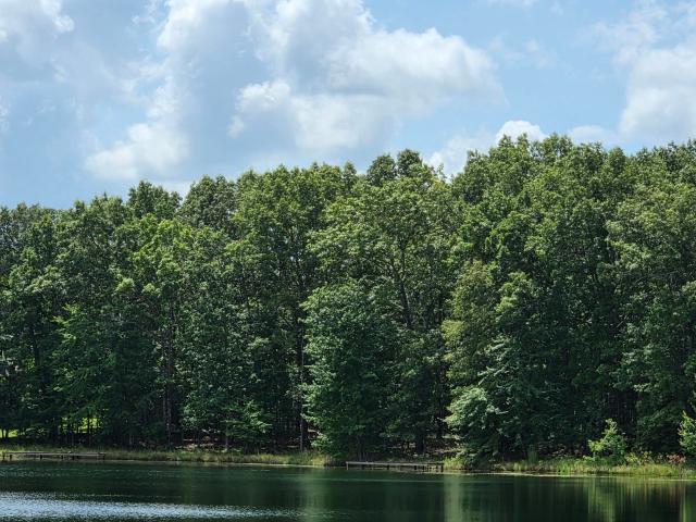 132 Camp Creek Circle