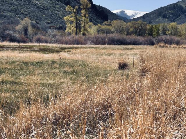 132 Creek, Eagle, CO 81631 | MLS #1014