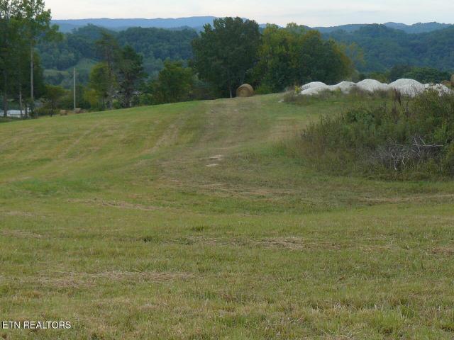 132 Acres Leabow Hollow Rd