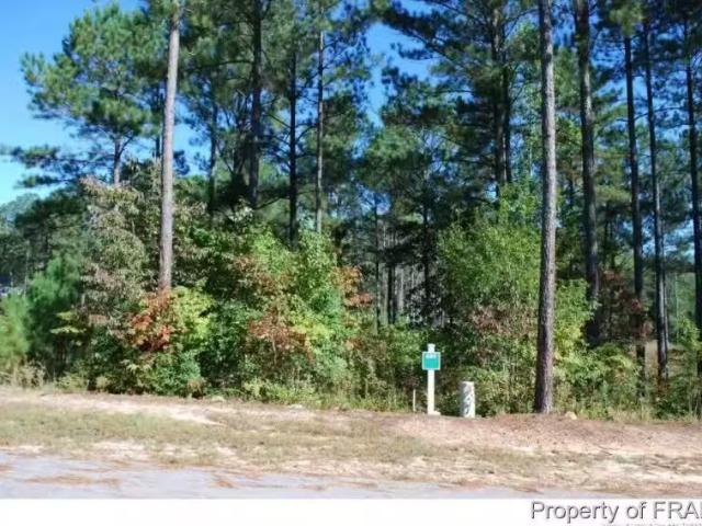 132 Broadlake 634 Ln, Spring Lake, NC 28390 MLS LP734178