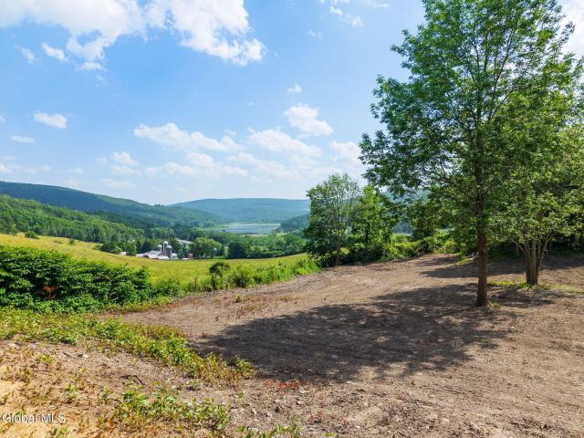 132 Debar Hill