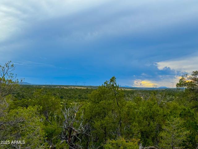 132 E Sidewinder Rd, Unit 438, Williams, AZ 86046 | MLS #6898 | Compass