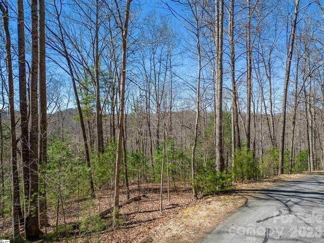 132 Overlook Park Dr Unit 51, Hendersonville, NC 28792