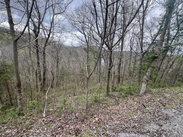 132 Lakeview Dr