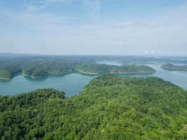 132 Sandstone Point Trail, Monticello, KY 42633 648364269
