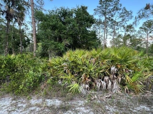 13352 Rodin Dr, Punta Gorda, FL 33955