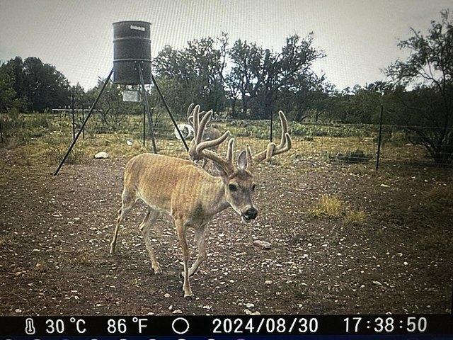 1335 Ocelot Private Remarks Rd Lot See, Eldorado, TX 76936