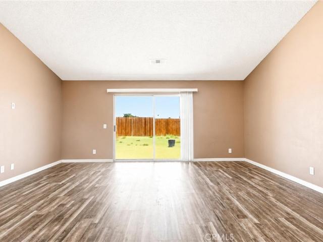 13368 Desert Primrose