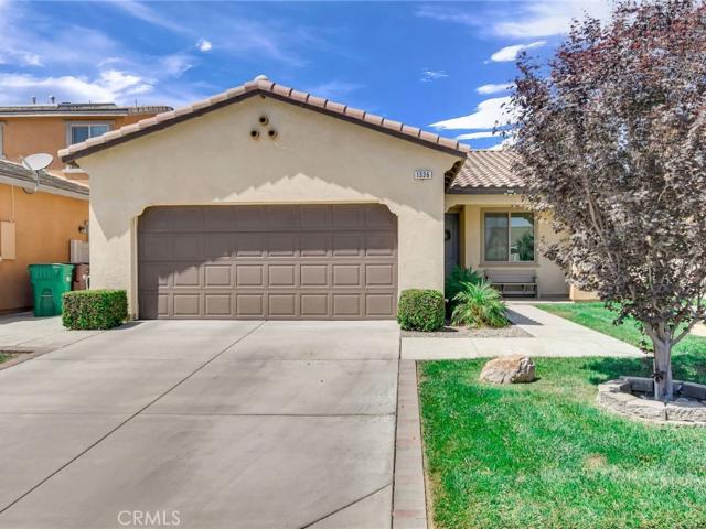 1336 Black Diamond